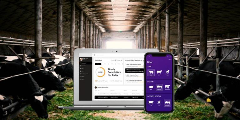 Livestock Electronic ID Reader / RFID Reader Integration for Cattle