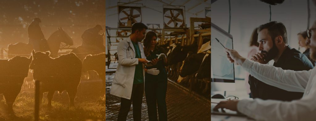 Agriculture Transformation Software Solution | AgTech Folio3