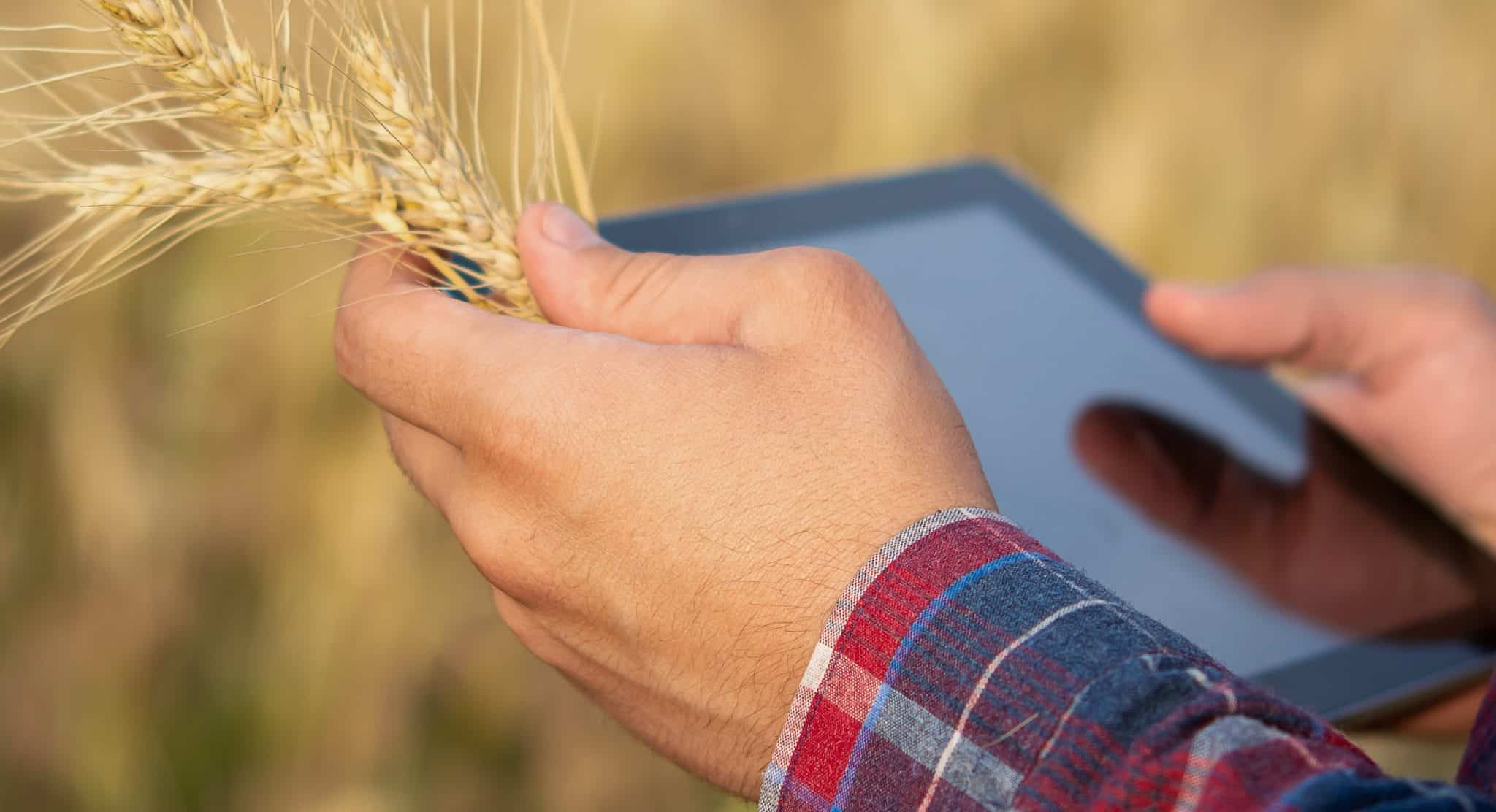 Digital Software Solutions for Livestock and Agriculture - Folio3 AgTech