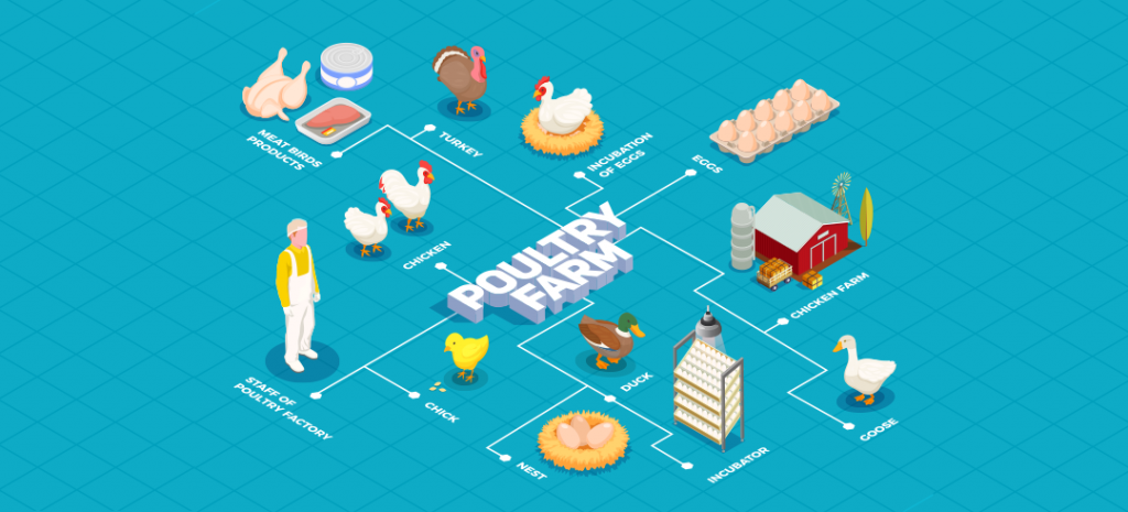 How Much Does It Cost to Start a Poultry Farm in 2025