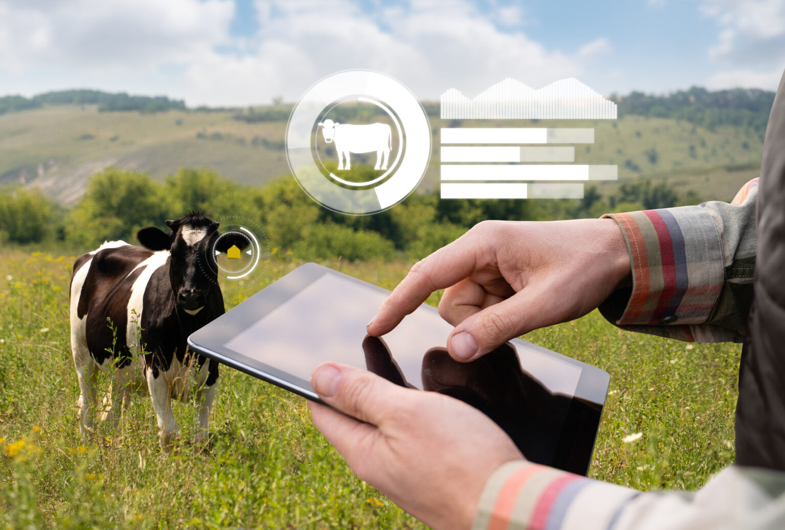 What are the Benefits of Using RFID Tags for Cattle Tracking?