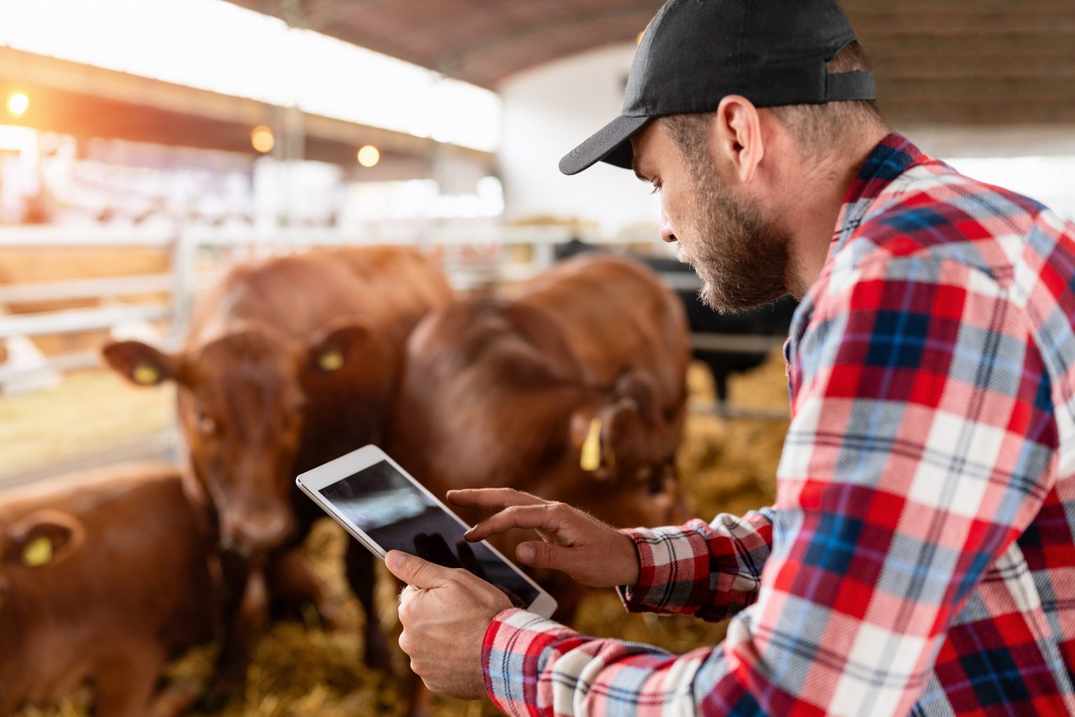 The Growing Need to Digitize Livestock Record Keeping