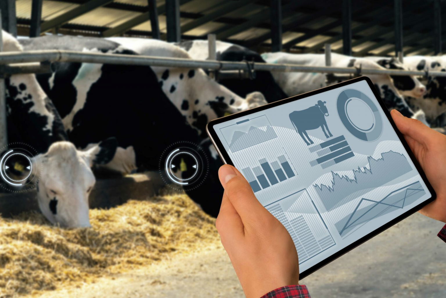 Gestation Table For Cattle: Benefits & Solutions