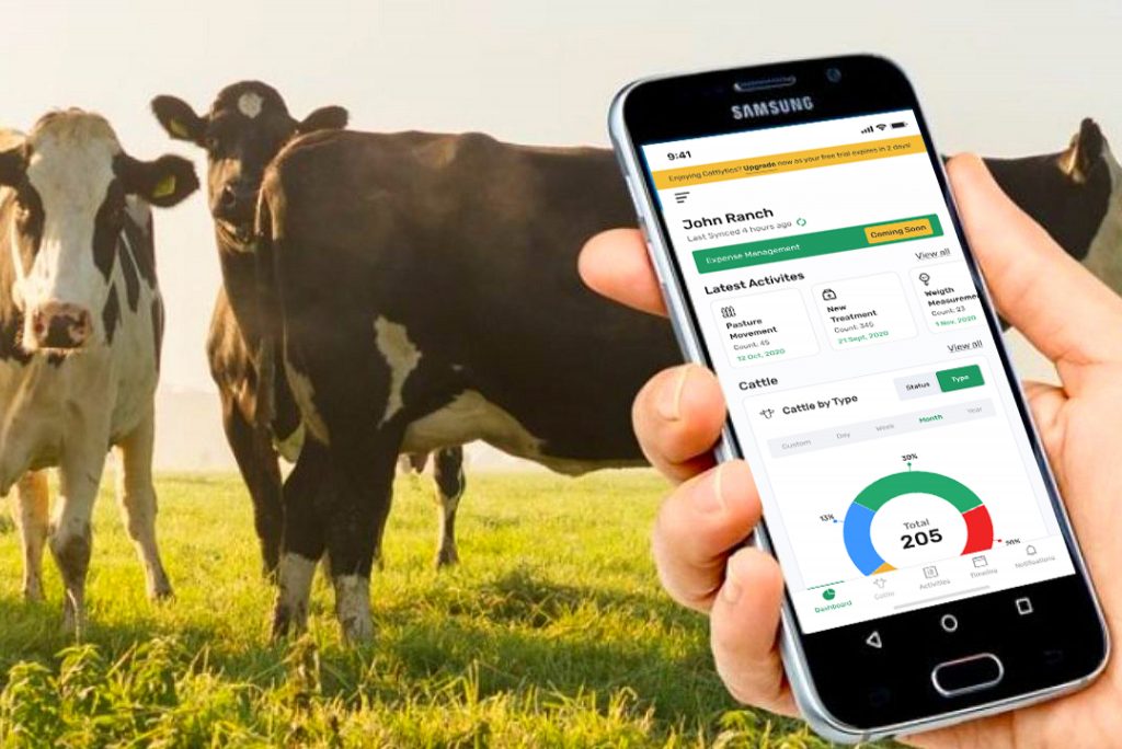 Track and Organize Cattle Health Records with Cattlytics