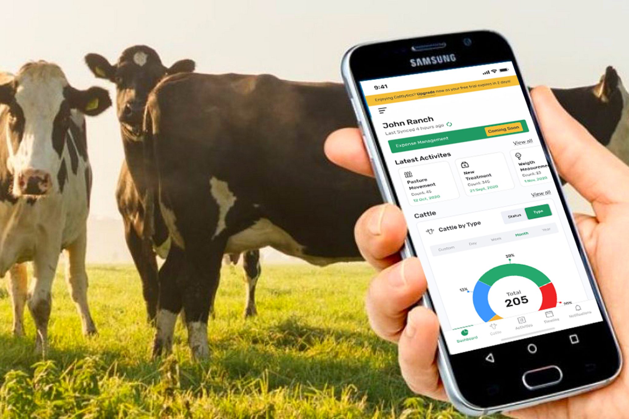 Track and Organize Cattle Health Records with Cattlytics