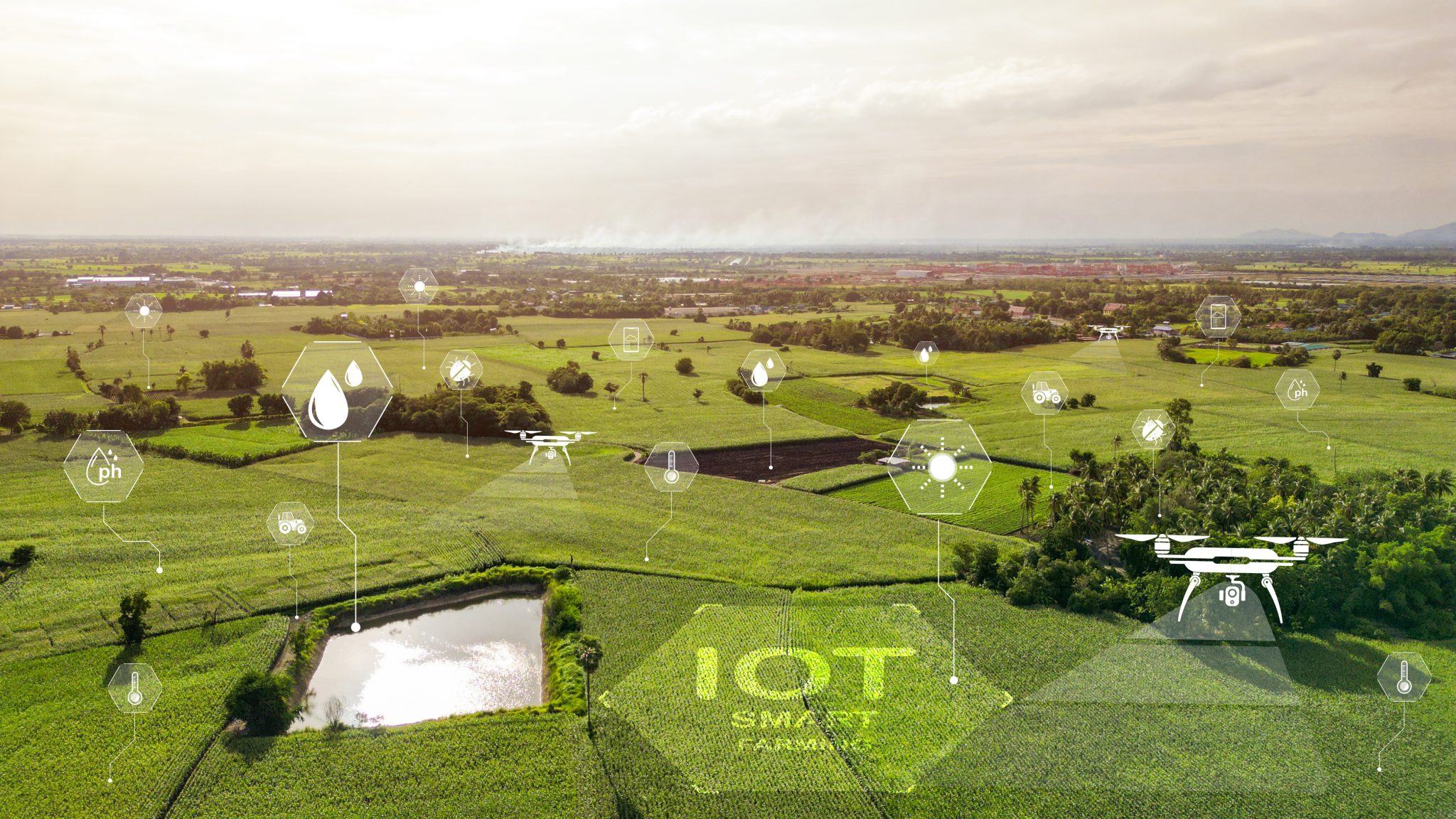 IoT in Agriculture and Its Benefits for Modern Farmers