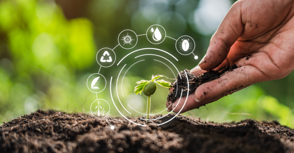 Why Should Your Seed Business Invest in Seed Management Software?