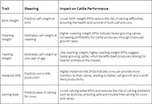 Understanding EPD (Expected Progeny Difference) in Animal Science