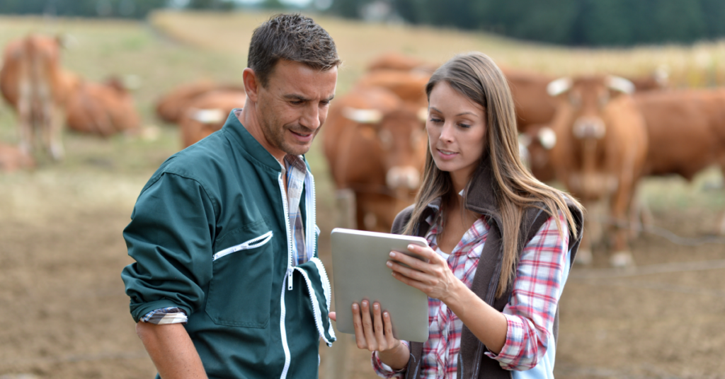 Effective Cattle Marketing Strategies for Cattle Operations