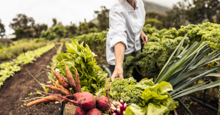 Top 10 Most Profitable Crops For Small Farm to Boost Your Crop Plan