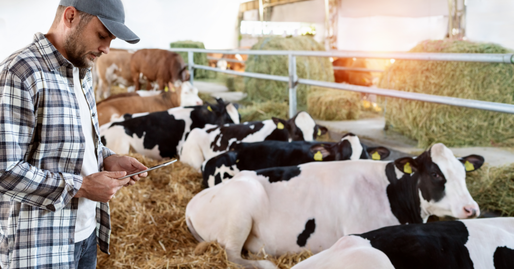 Feedlot Software for Modern Livestock Operations - Ultimate Guide