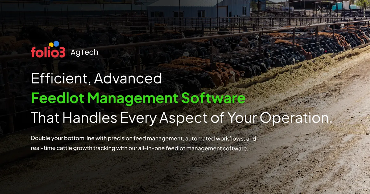 Feedlot ERP Software Solving Feed Costs & Margin Uncertainty