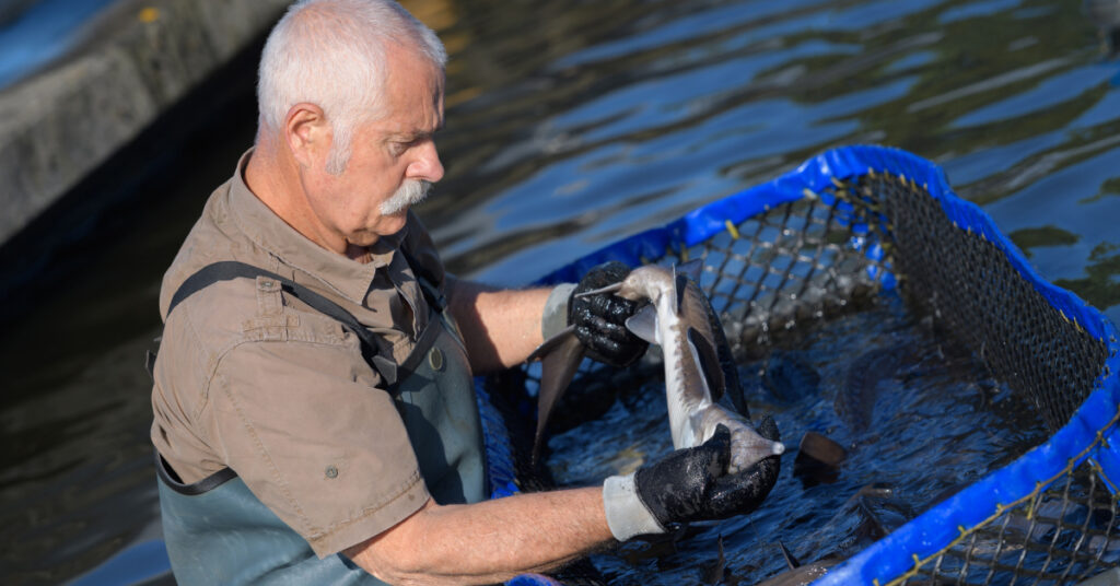 Aquaculture Software for Sustainable Fish Farming Success