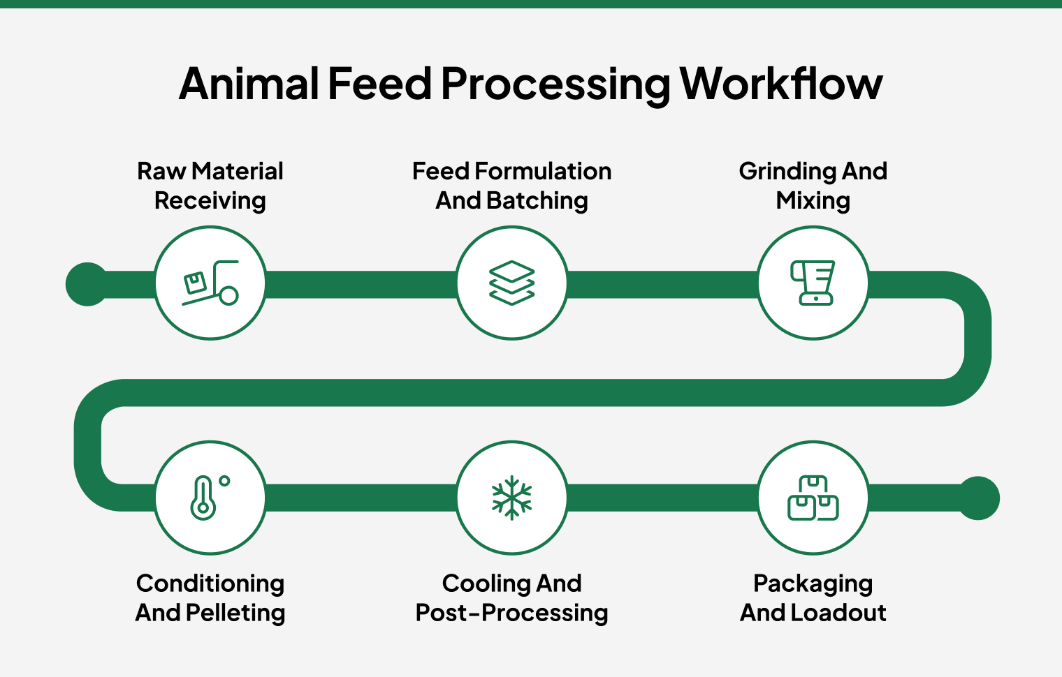 Animal Feed Processing Explained With Important Mill Insights