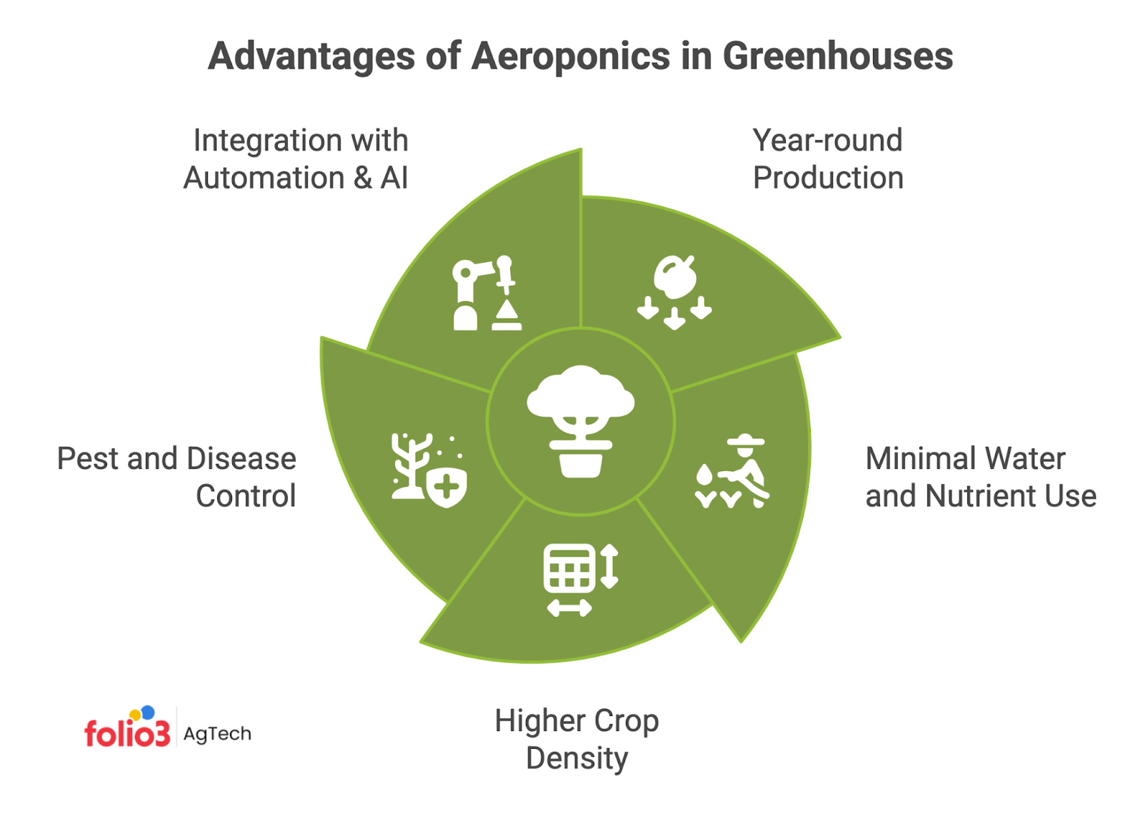 Aeroponic Farming in Greenhouse: Everything You Need To Know