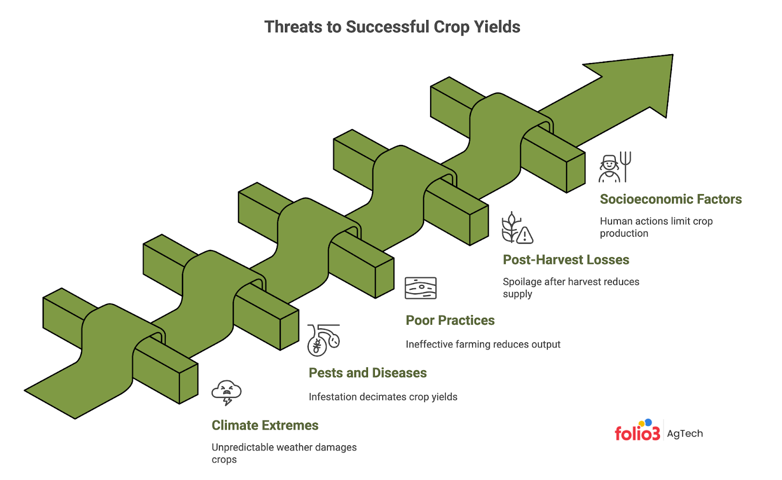 Crop Failure: Causes, Effects, and Prevention in Farming