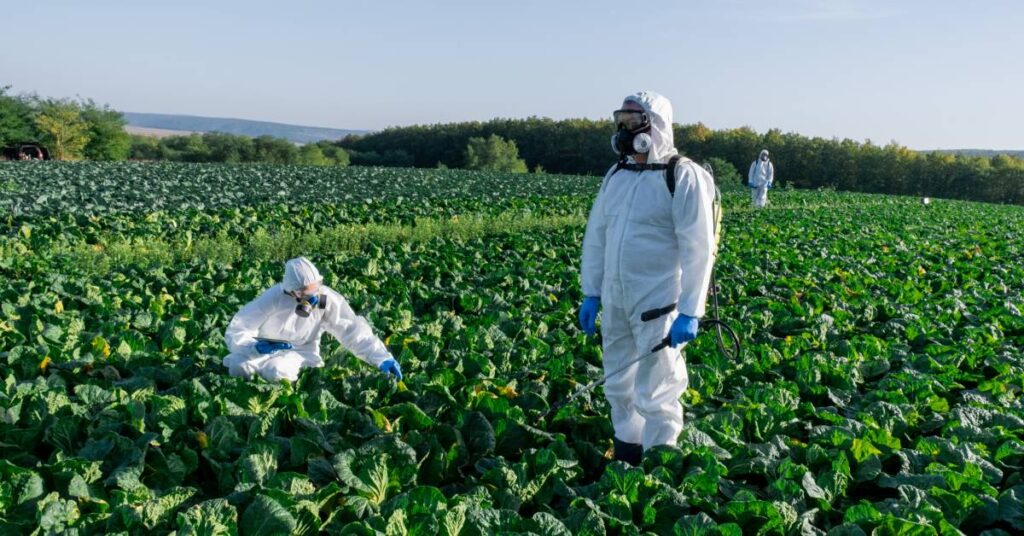 Farm Hazards Guide: Top Risks & Safety Prevention Tips