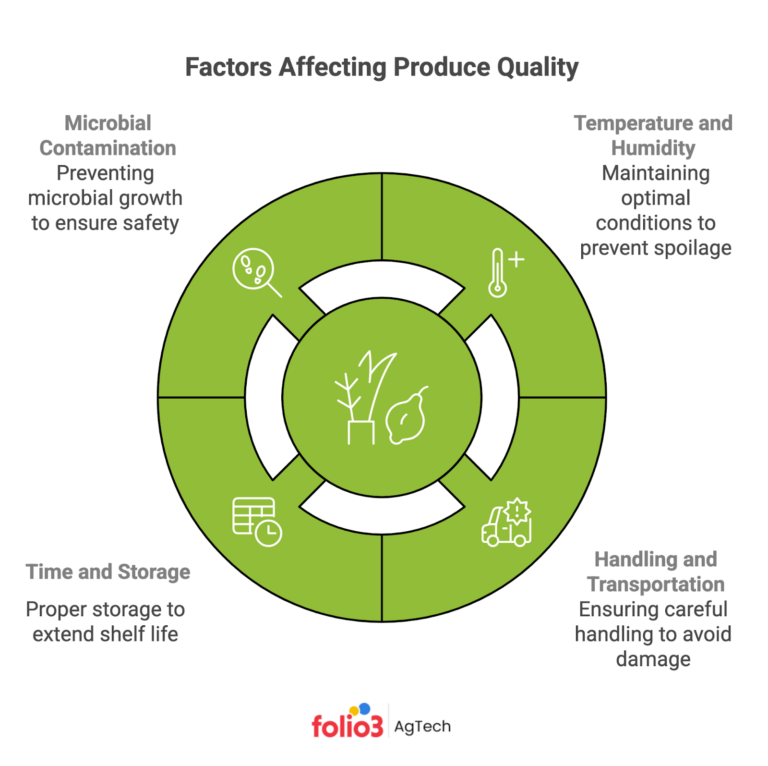 Fresh Produce Quality Control: Practices & Technologies