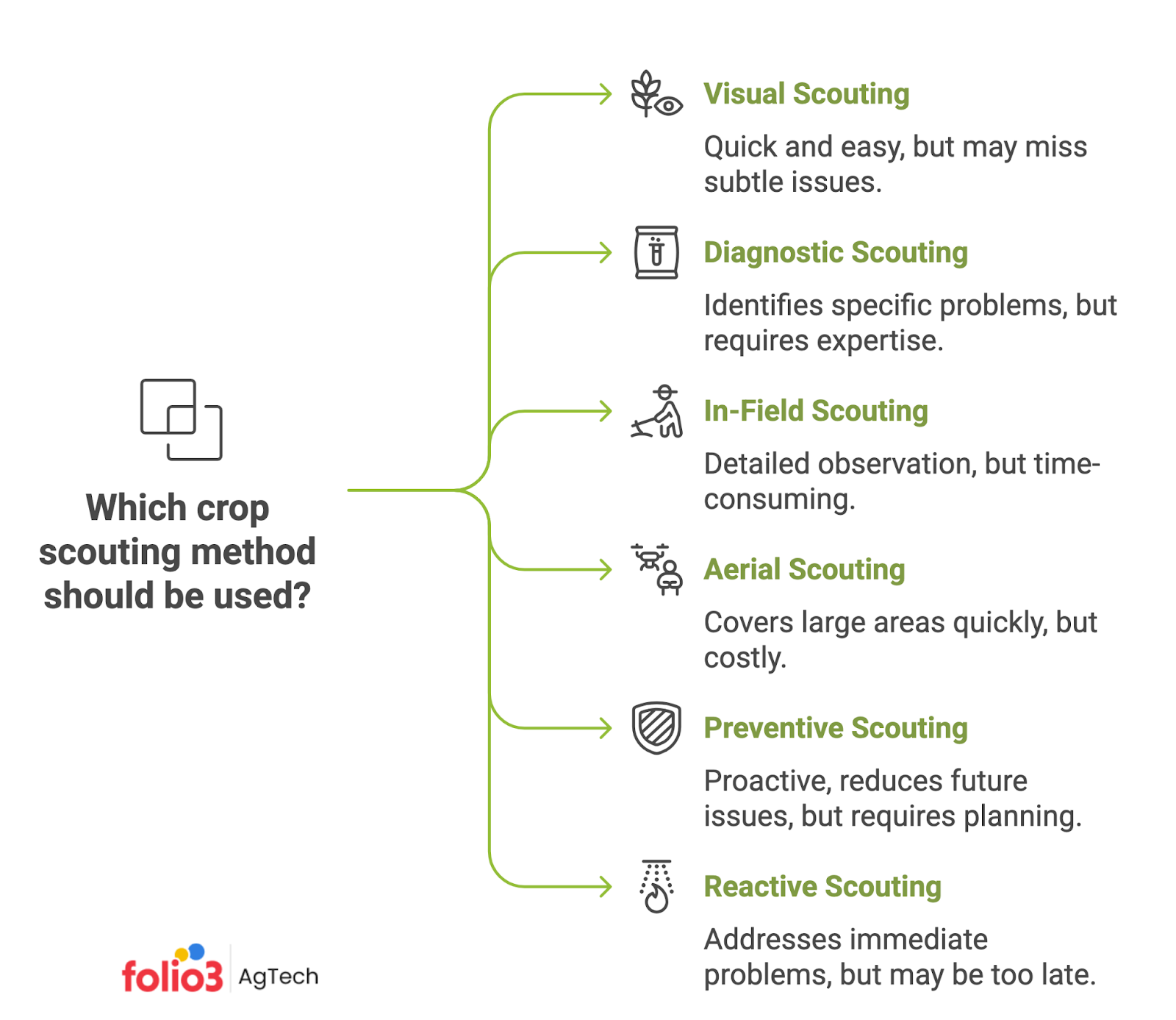 Crop Scouting Explained: Identification and Key Techniques