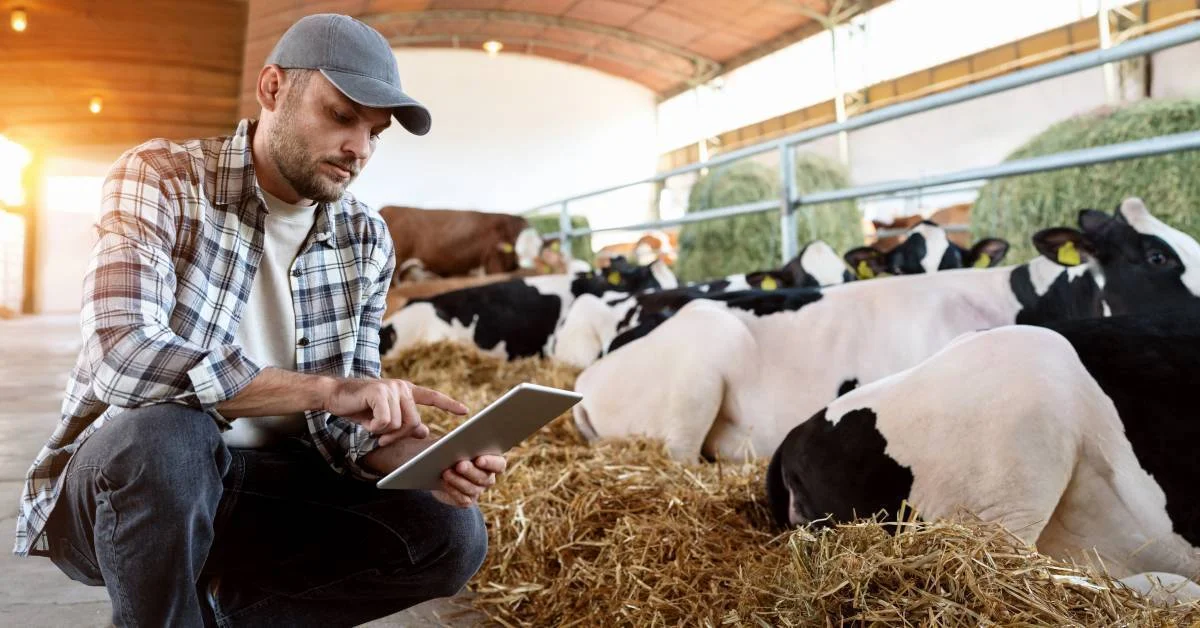 The Role of Computer Vision for Livestock Improvement