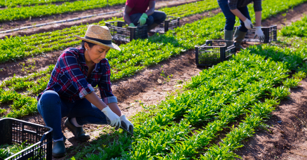 10 Interesting Facts About Agriculture You Didn’t Know!