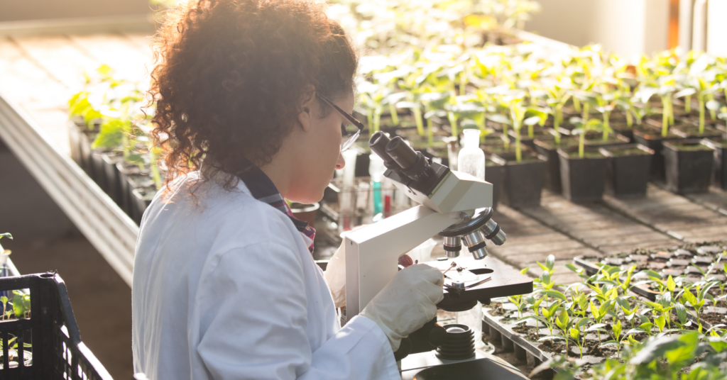 Biotechnology in Agriculture: Applications, Benefits & Future