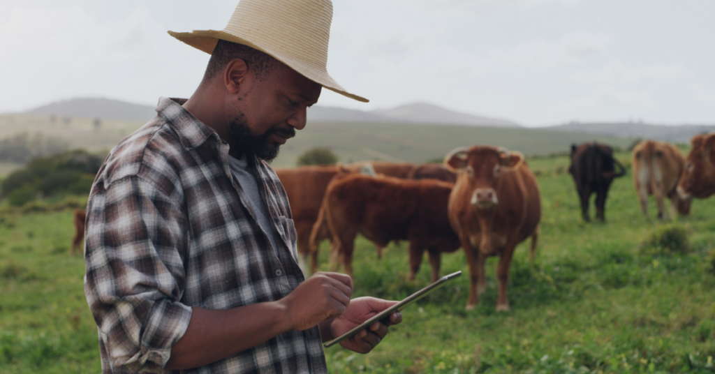Livestock Sensor Monitoring Explained for Cattle Health