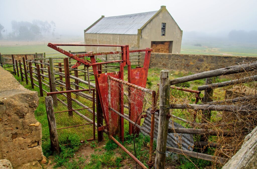 Small Herd Cattle Working Pens: Design and Handling Tips